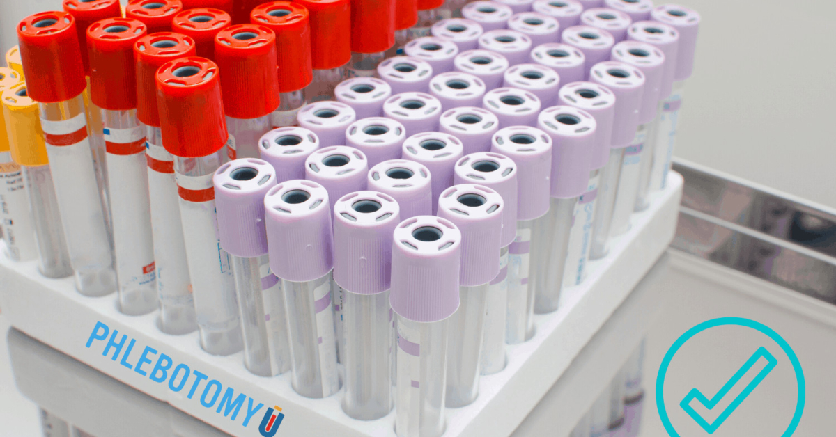 How to Become a Phlebotomy Instructor - PhlebotomyU